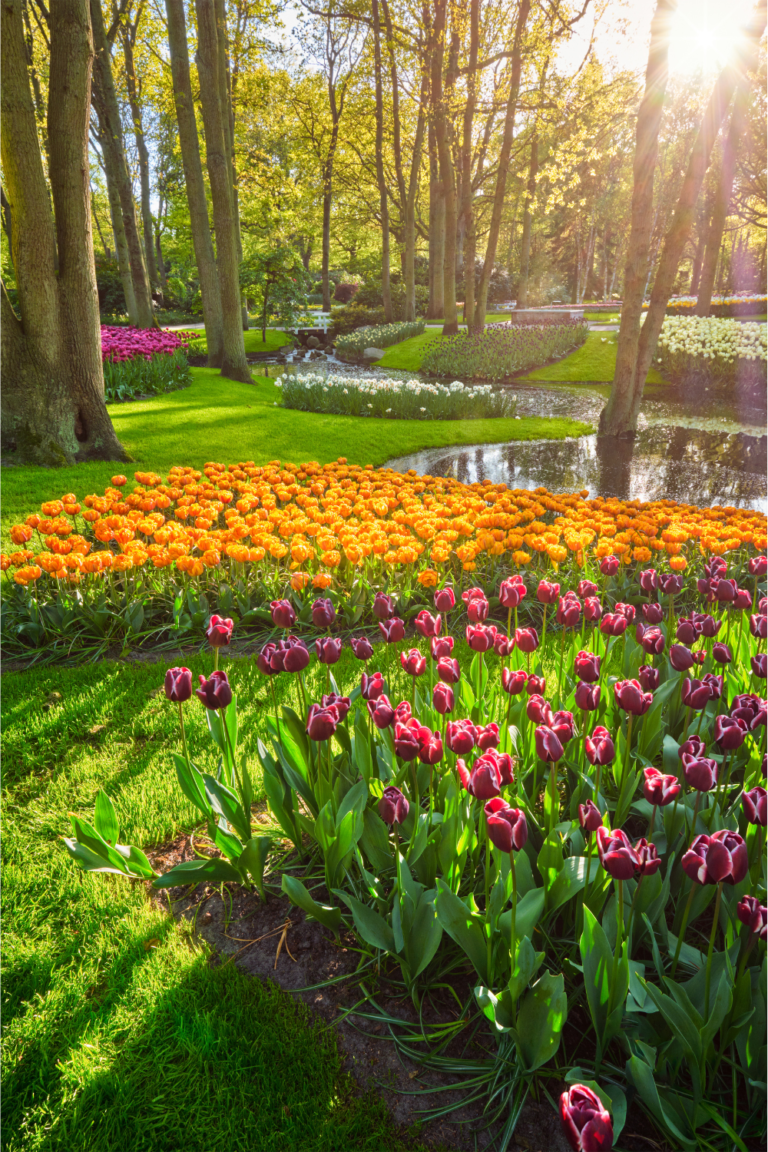 13 Stunning Gardens Around the World to Inspire Your Next Outdoor ...